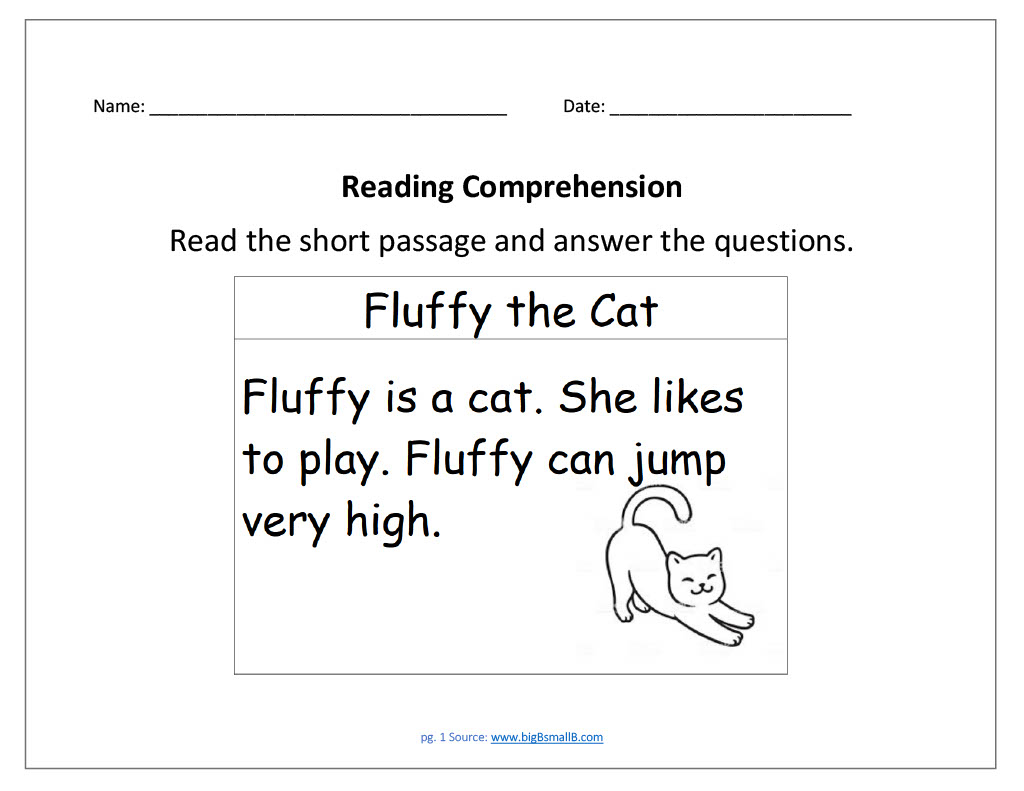 Fluffy the Cat, Reading Comprehension (PDF)